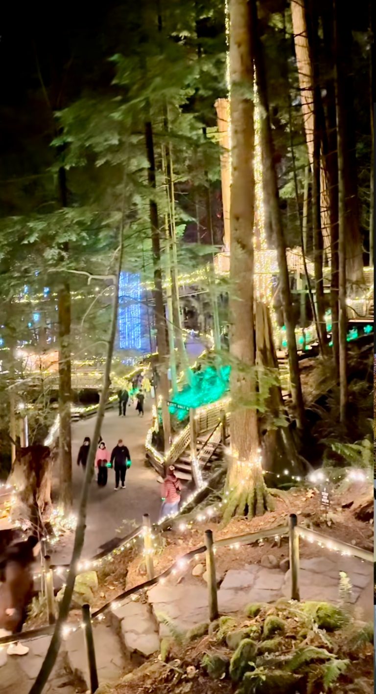 Canyon Lights at Capilano Suspension Bridge